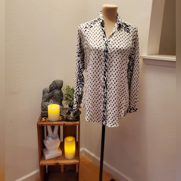 Zara | Tops | Zara Basic Button Down Shirt | Poshmark